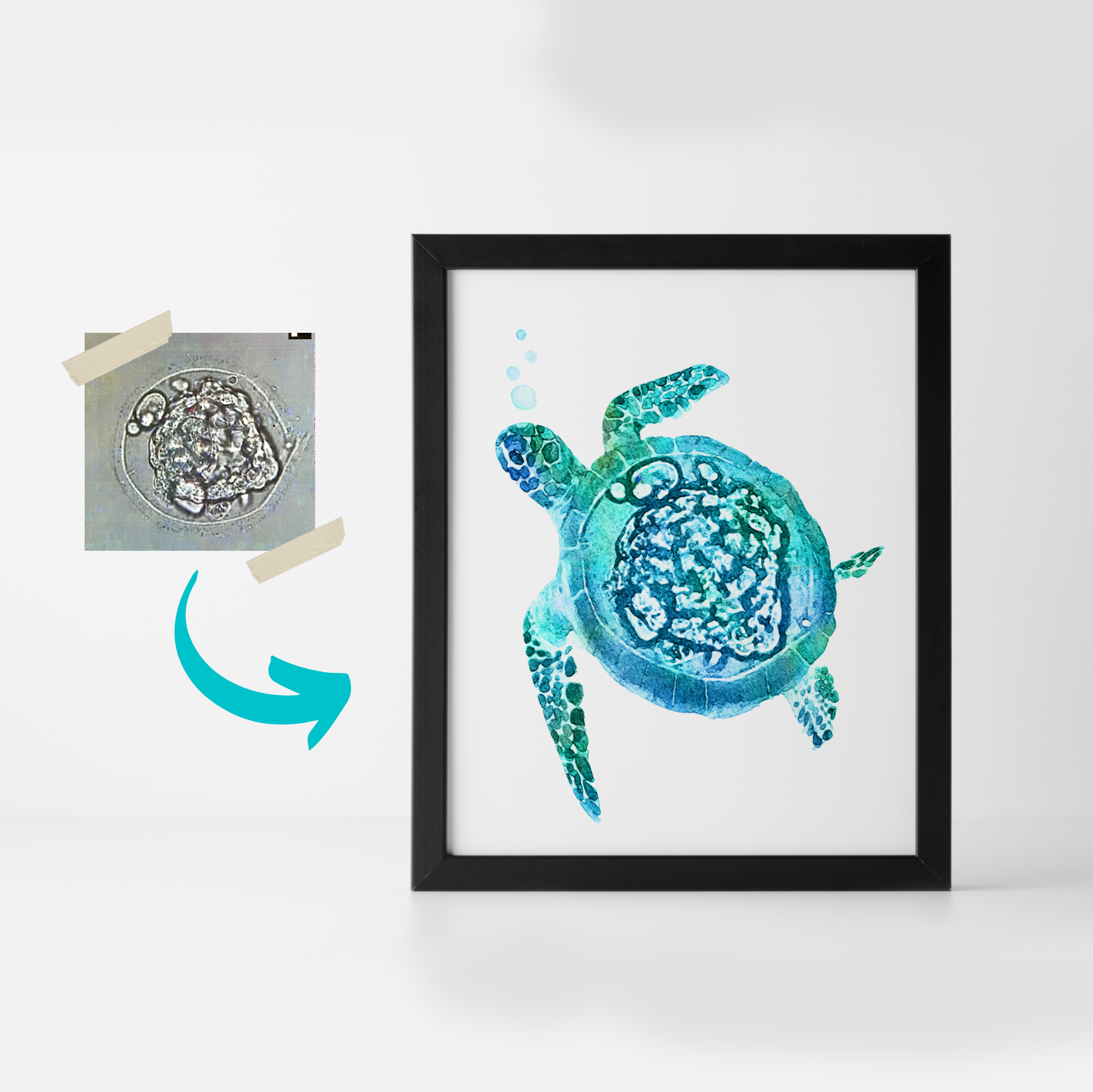 Custom IVF Embryo Digital Painting – Sea Turtle Under the Sea Nursery ...
